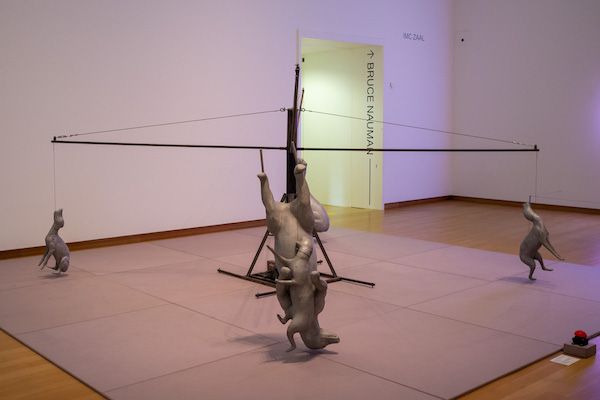 Bruce Nauman at the Stedelijk Museum
