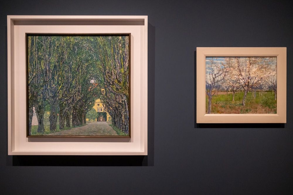 Golden Boy Gustav Klimt. Inspired by Van Gogh, Rodin, Matisse